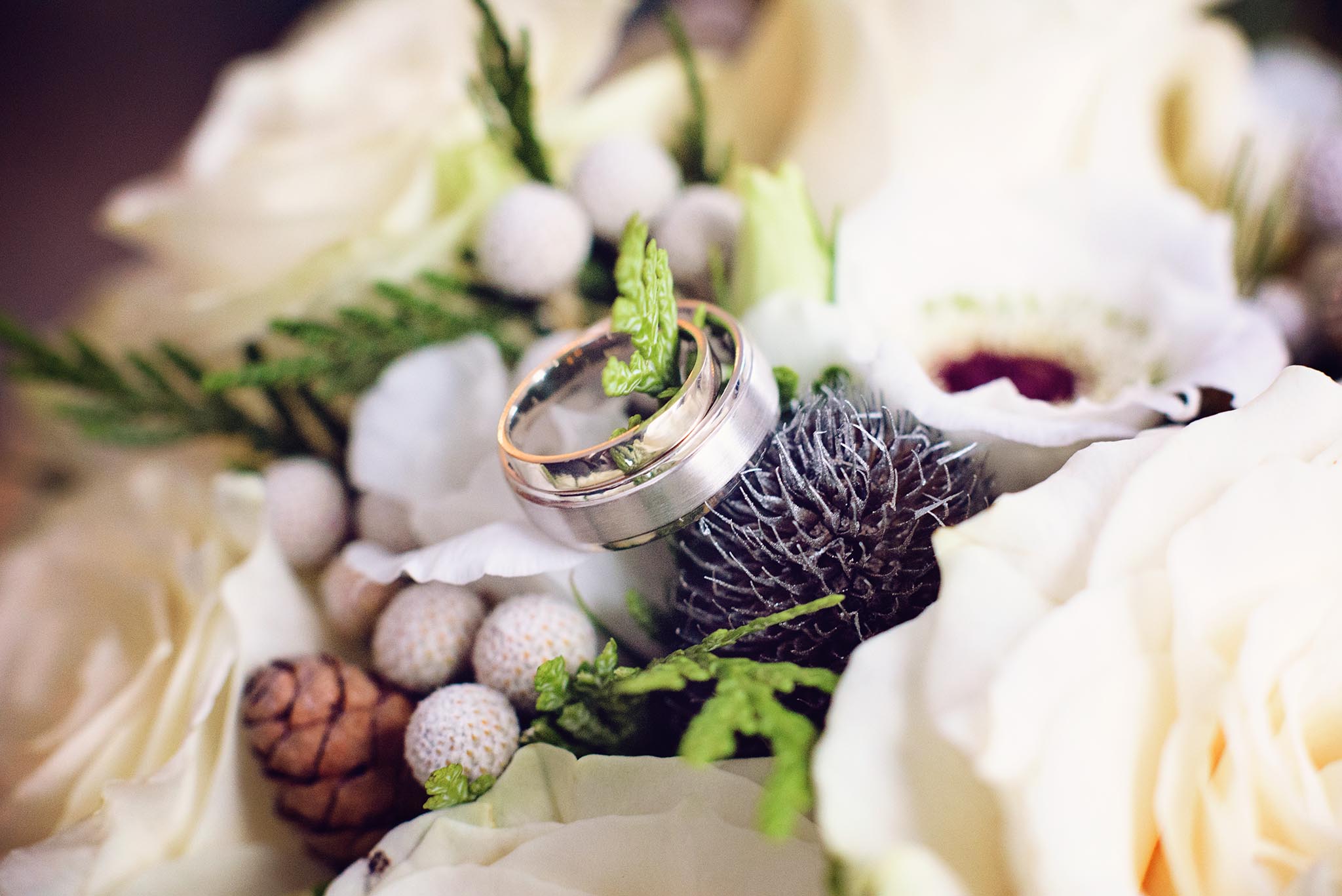 Peter B Photography | Peter & Kaley's Wedding at the Elm Hurst Inn ...